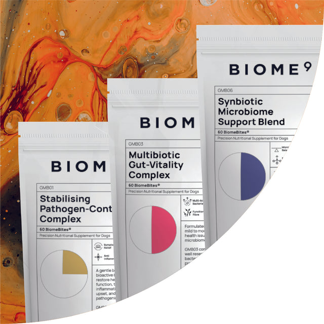 BIOME9 – GutDiscovery® Dog Gut Microbiome - Test Kit & Report For Dogs