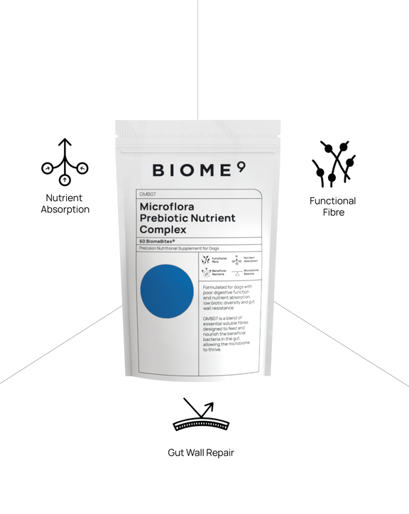 Microflora Prebiotic Nutrient Complex GMB07 – BiomeBites® Precision ...
